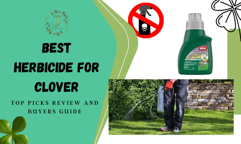 Best Herbicide for Clover 2022: Reviews with Buying Guide - Online ...